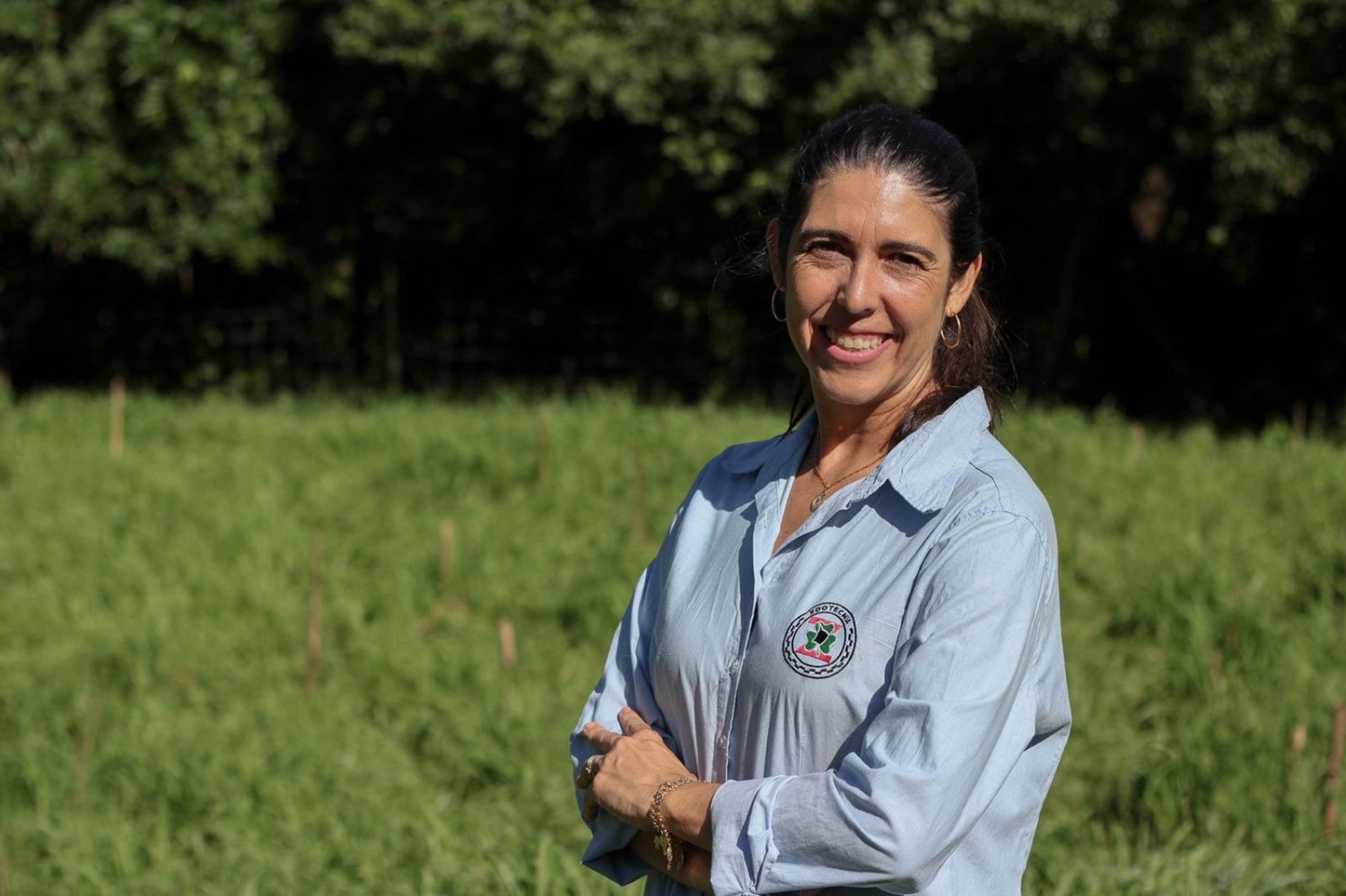 O Pasto Não Ficou Bem Formado? Se Liga Nos 9 Principais Motivos 2025