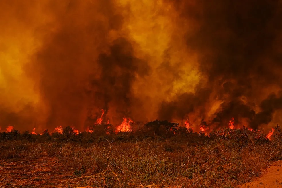 Dois Estados Decretam Emergência Em Razão De Incêndios No Pantanal